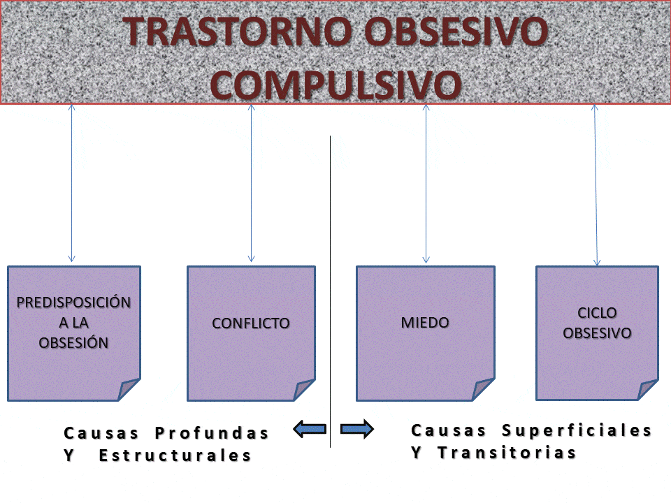 Trastorno Obsesivo Compulsivo (TOC) Causas y Terapias.